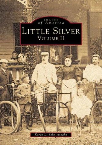 Little Silver: 2: Karen L. Schnitzpahn: 9780752412177: Amazon.com: Books