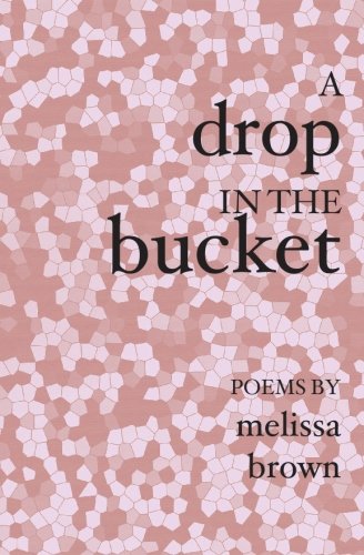 A Drop in the Bucket: Brown, Melissa: 9781419602931: Amazon.com: Books