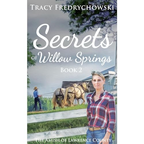 Amazon.com: Secrets of Willow Springs - Book 2: An Amish Christian Book (Audible Audio Edition ...