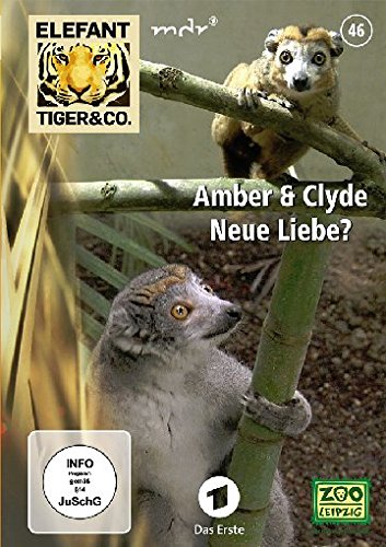 Elefant, Tiger & Co. - Teil 46 - Amber & Clyde - Neue Liebe [2 DVDs ...