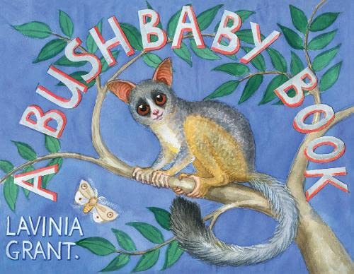 A Bushbaby Book: 9/15 (Lavinia Grant Children's Books): Amazon.co.uk ...