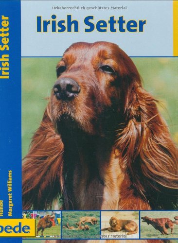 Irish Setter, Praxisratgeber : Williams, Margaret: Amazon.de: Bücher