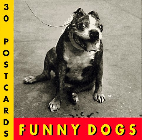 Funny Dogs Postcard Book: Suares, J.C.: 9781556704703: Amazon.com: Books