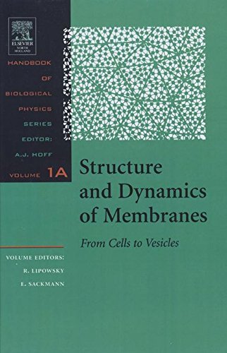 Amazon | Structure and Dynamics of Membranes: I. From Cells to Vesicles ...