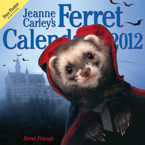 Jeanne Carley's Ferret Friends 2012 Calendar: Ferret Company ...