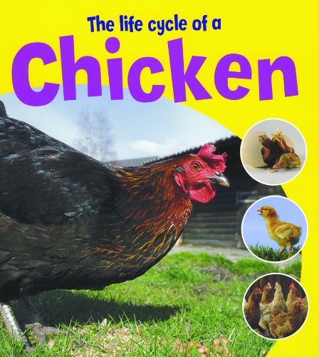The Life Cycle of a Chicken (Learning About Life Cycles): Thomson, Ruth ...