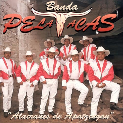 Play Alacranes De Apatzingan by Banda Pelavacas on Amazon Music