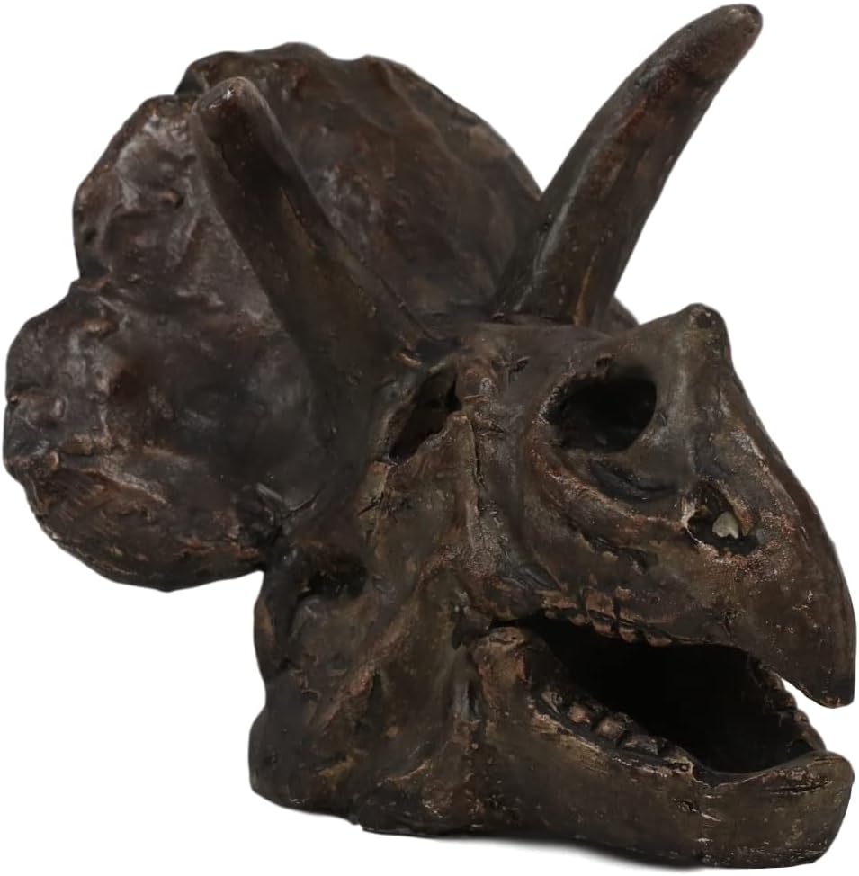 Amazon.com: Ebros Gift Faux Taxidermy Replica Dinosaur Head Fossil Small Skull Figurine Resin in ...