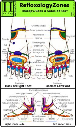 Amazon.com: Reflexology Therapy - Back & Sides of Foot - Medical Card ...