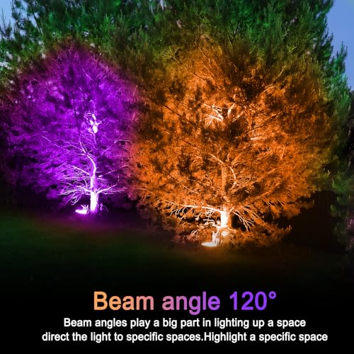 Encuentra Luz Led Morada