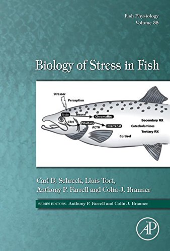 Biology of Stress in Fish (Fish Physiology Book 35) (English Edition ...