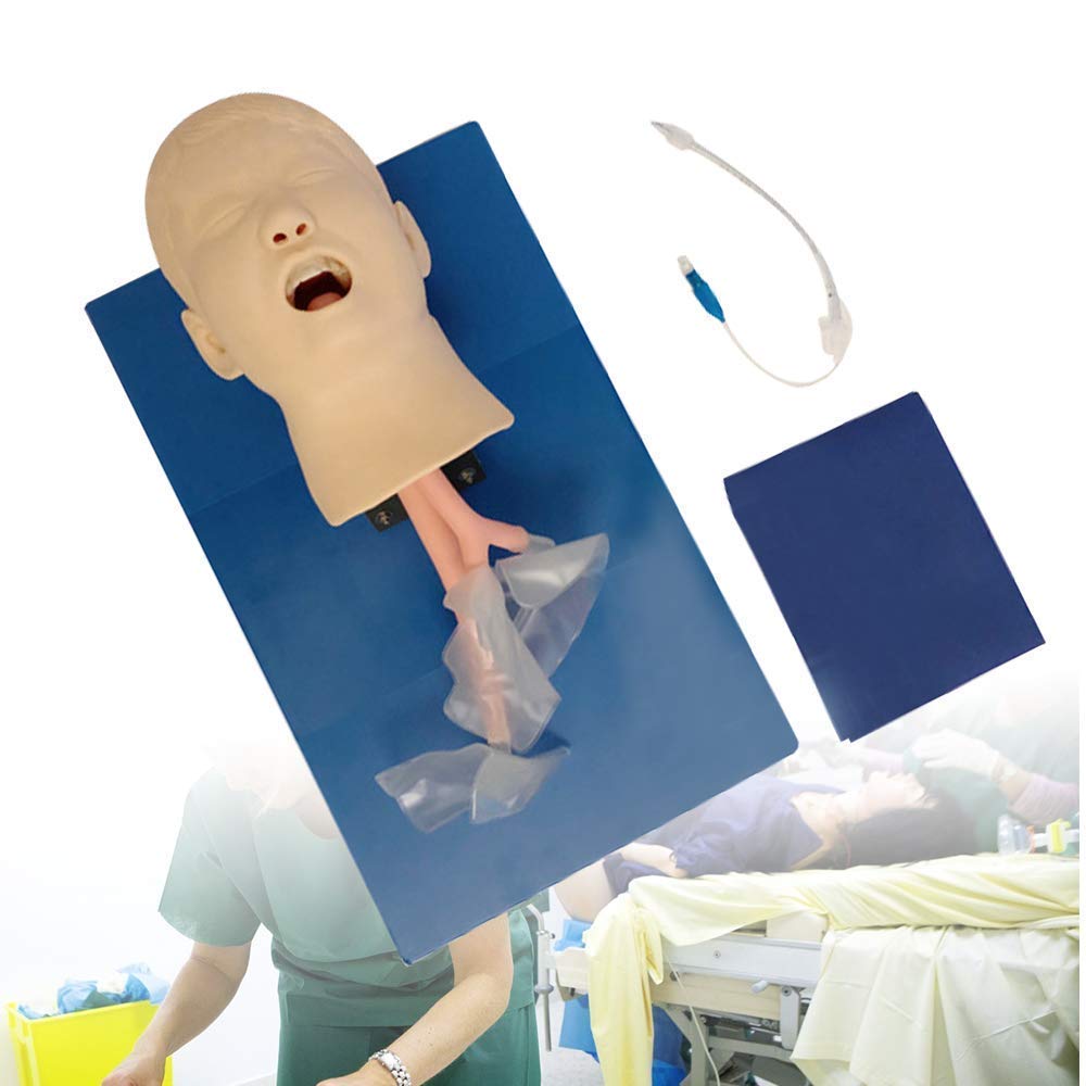 Buy GLJY Oral Nasal Intubation Manikin Airway Management Trainer ...