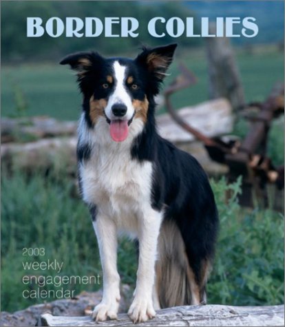 Border Collies Weekly 2003 Calendar: unknown author: 9780763153984 ...