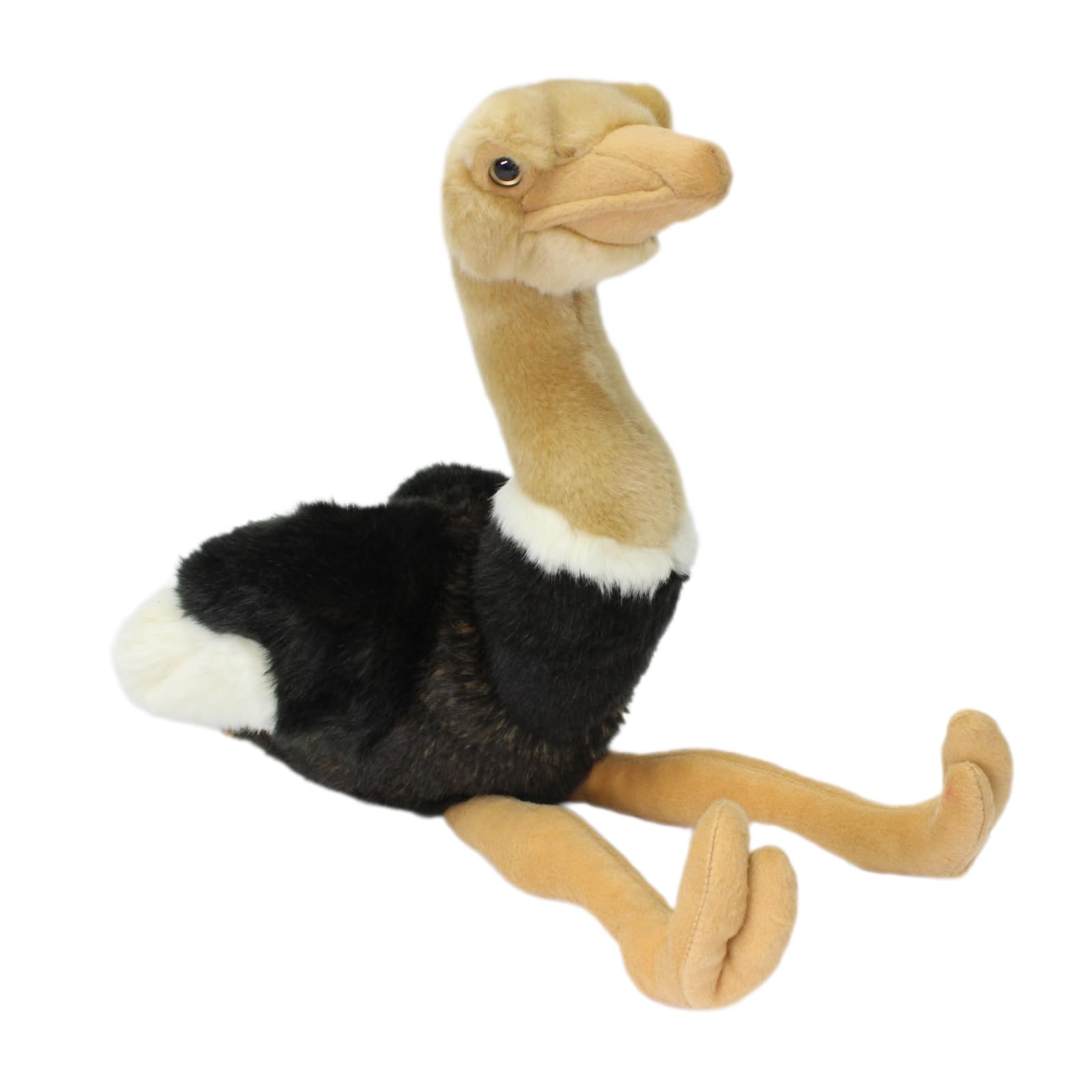 Amazon.com: WinAdiGoo Realistic Ostrich Stuffed Animal Plush Toy 19.6 ...