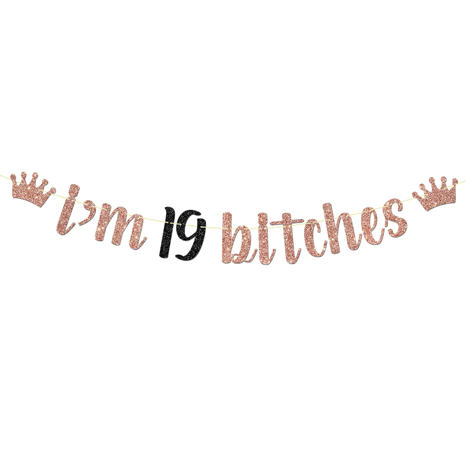 Amazon.com: Rose Gold Glitter I’m 19 Bitches Banner - Happy 19th ...