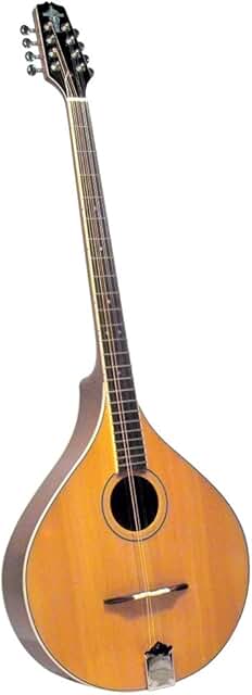 Amazon.com: Bouzoukis - Bouzoukis / String Folk & World Instruments ...