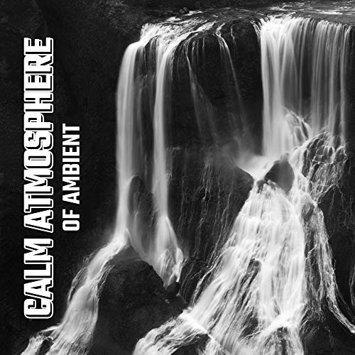 Amazon.com: Calm Atmosphere of Ambient: 2020 Relax, Rest, Calm and ...