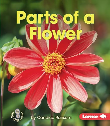 Free Flowers Preschool Lesson Plans - Stay At Home Educator