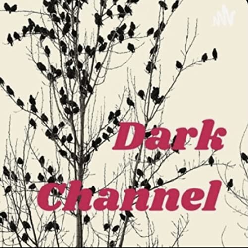 Dark Channel : Dark Channel: Amazon.in: Audible Books & Originals