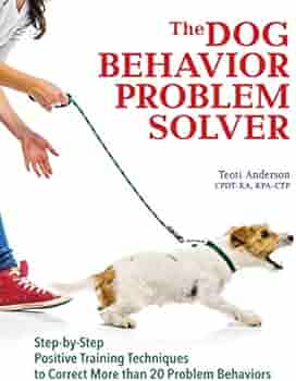 How Can I Help My Dog With Behavior Problems