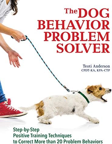 How Do You Fix A Misbehaving Dog
