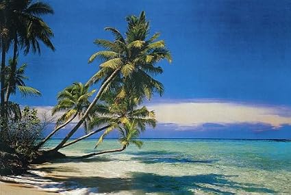 Amazon.com: Large 35x23 inch Tropical Palm Tree/Beach Scene Poster ...