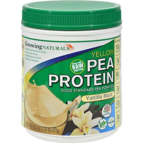 Top 10 Yellow Pea Protein Powder of 2022 - Katynel