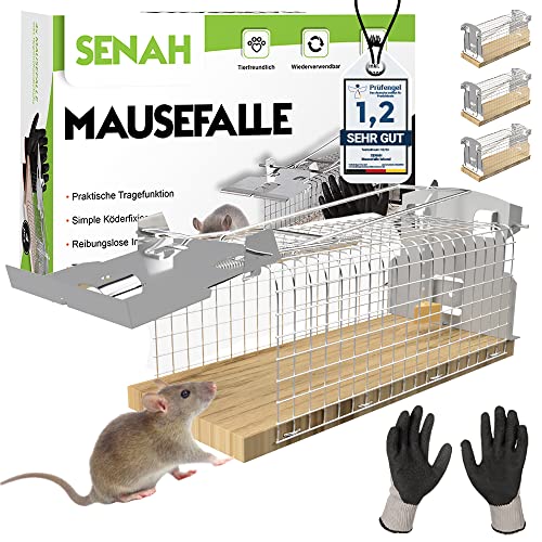 Mausefallen Lebendfallen – Die 15 besten Produkte im Vergleich ...