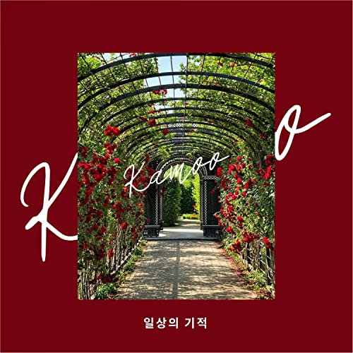 Amazon MusicでKamooの일상의 기적を再生する