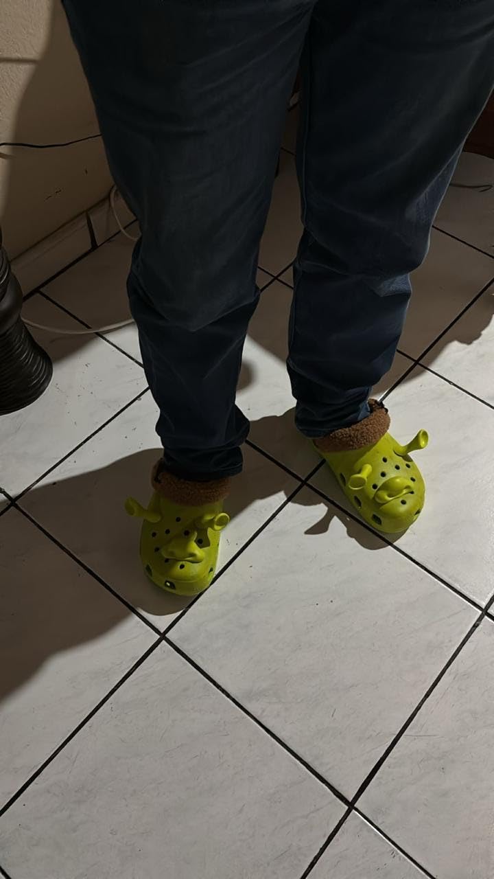 Amazon.com | Crocs Unisex-Adult Classic Shrek Clogs | Mules & Clogs