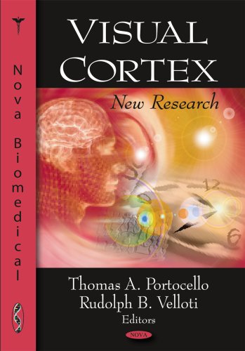 Amazon.com: Visual Cortex: New Research: 9781604565300: Portocello ...