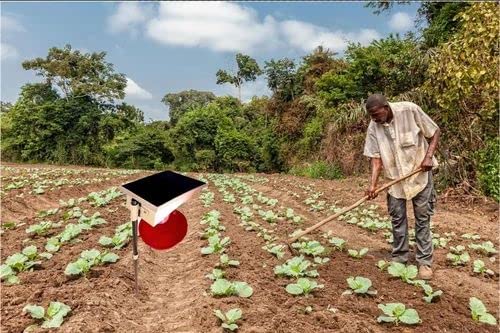 Farmroot Automatic Solar UV Light, Li-Ion Battery and Tray Insect Trap ...