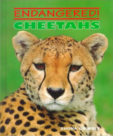 Cheetahs (Endangered!): Grimbly, Shona: 9780761403197: Amazon.com: Books