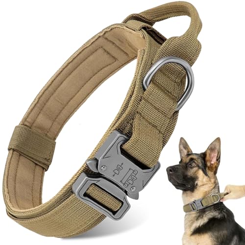 Dog Coller – The 15 best products compared - Wild Explained