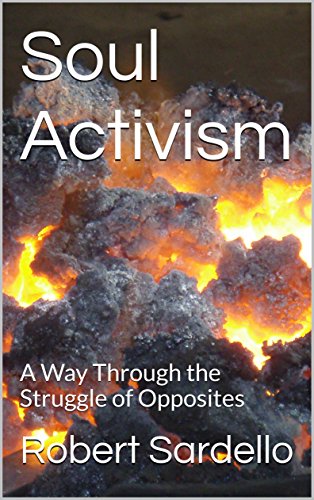 Amazon.com: Soul Activism: A Way Through the Struggle of Opposites ...