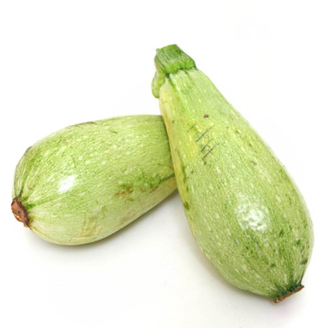 Palm Beach Medicinal Herbs - Lebanese White Bush Marrow Squash - Packet ...