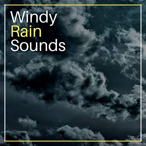 Play Windy Rain Sounds: White Noise Ambient for Anxiety & Insomnia by ...
