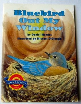 BLUEBIRD OUT MY WINDOW: unknown author: 9780618599899: Amazon.com: Books