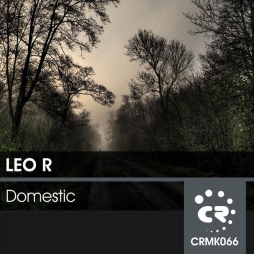 Amazon MusicでLeo RのDomesticを再生する