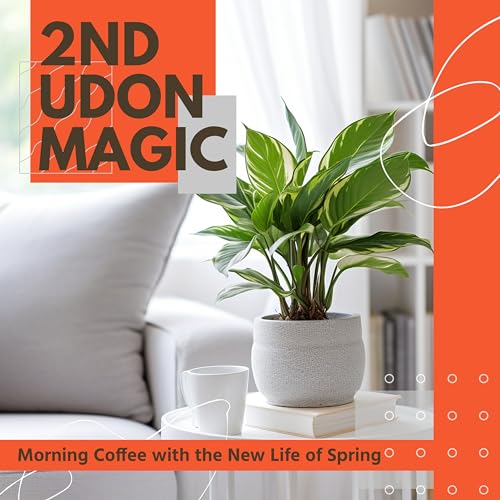 Play Morning Coffee with the New Life of Spring by 2nd Udon Magic on ...