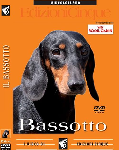 Bassotti. DVD: Amazon.de: DVD & Blu-ray