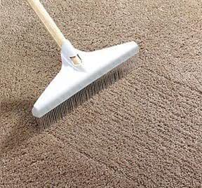 B.W. Carpet Rake - Best Shag Carpet Rake for Pet Hair Removal. Enhances ...