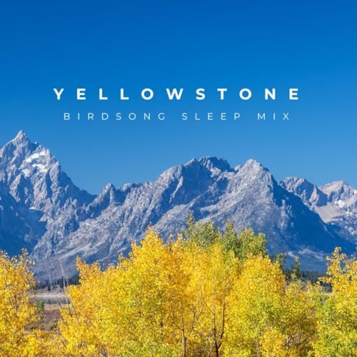 Écouter Yellowstone Birdsong (Sleep Mix) par Heard Well sur Amazon ...