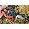 Amazon.com : Felco Pruning Shears (F 160S) - High Performance Swiss Made One-Hand Garden Pruner ...