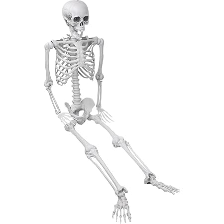 5.4ft/165cm Halloween Skeleton - Halloween Human Skeletons Full Body ...