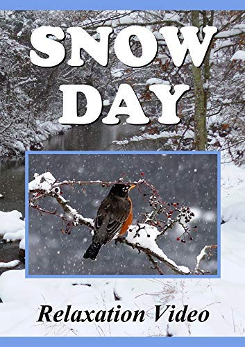 Amazon.com: Snow Day Relaxation Video : Victor Rook: Movies & TV