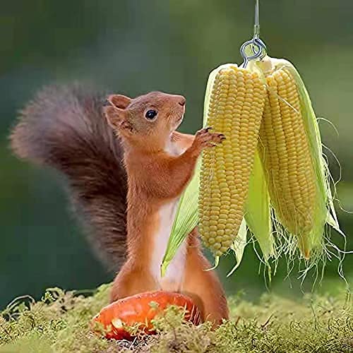 Bungee Squirrel Feeder Bungee Squirrel Feedersquirrel Feeder For