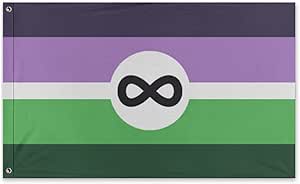 Amazon.com : Voidpunk Flag Neurodivergent Symbol Gender Identity Flags Polyester with Brass ...
