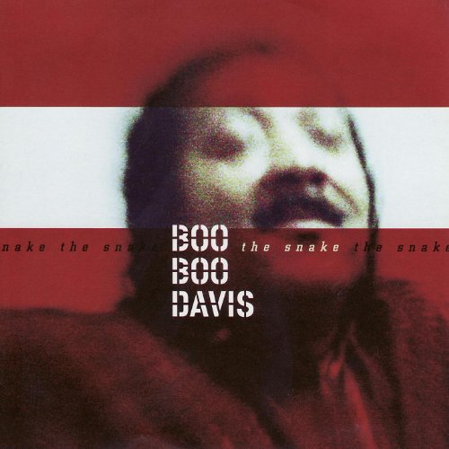 Amazon.com: The Snake : Boo Boo Davis: Digital Music