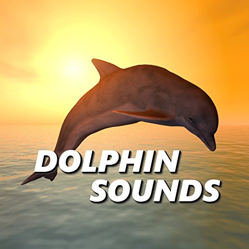 Amazon MusicでDolphin SoundsのDolphin Soundsを再生する